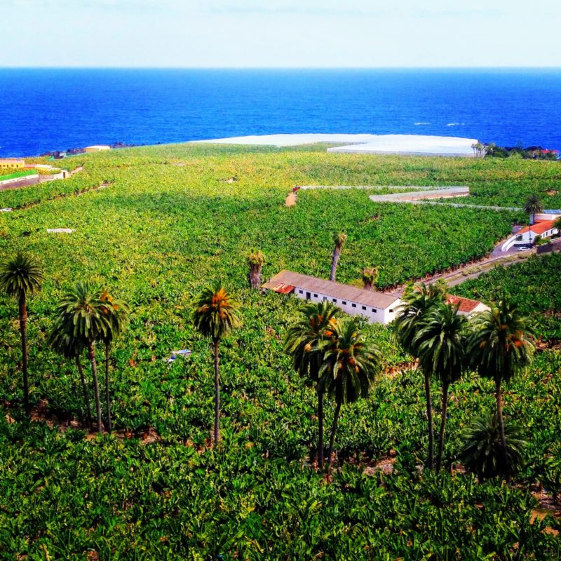 De Icod a Garachico... en bicicleta - Revista Fama Tenerife